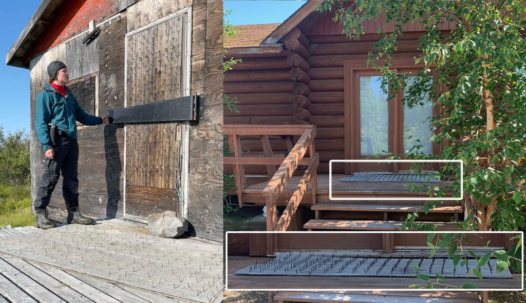 Bear Boards and Other Precautions - Essential Wilderness