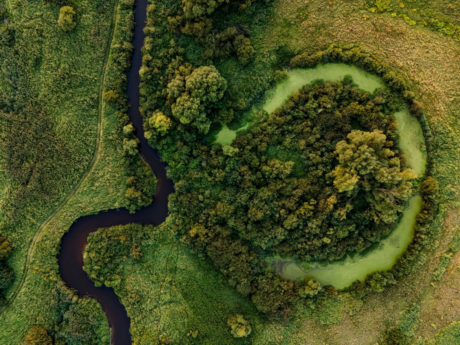 What Causes River to Meander? - Essential Wilderness