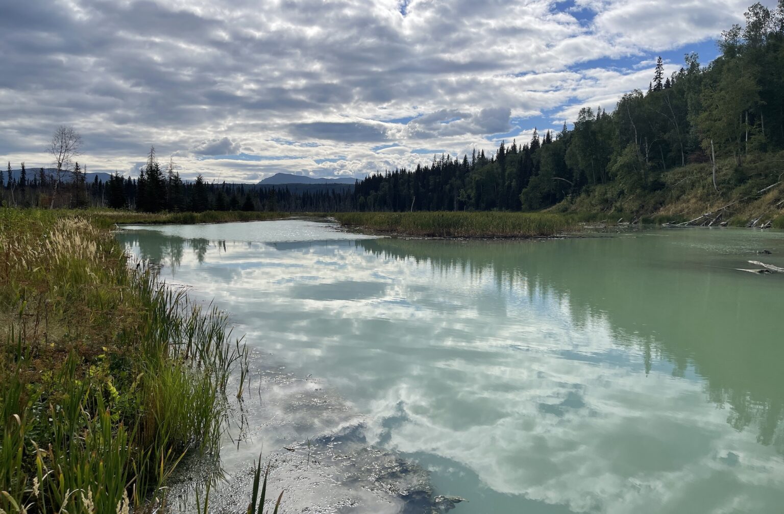 What Causes River to Meander? - Essential Wilderness