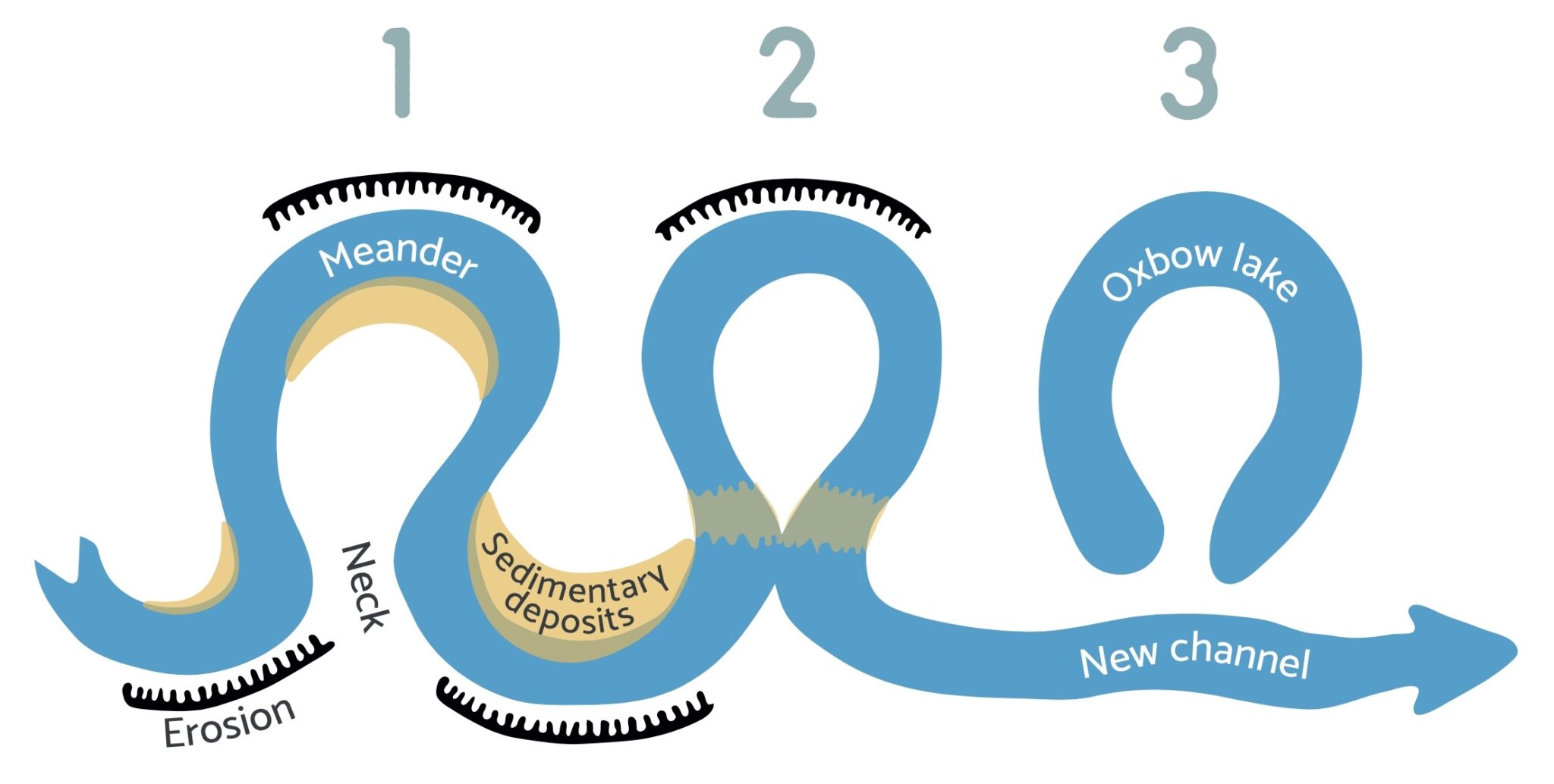 What Causes River to Meander? - Essential Wilderness