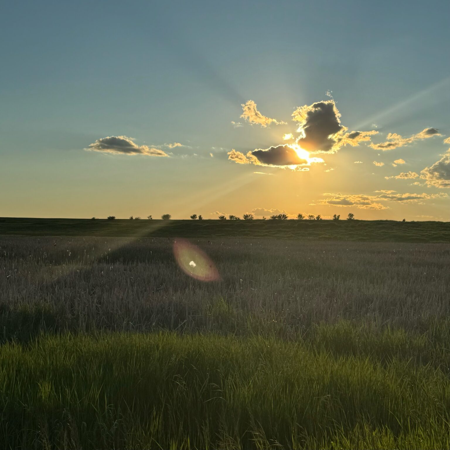Lost in the Barrens, a Solo Canoe Trip on a Remote Arctic River ...